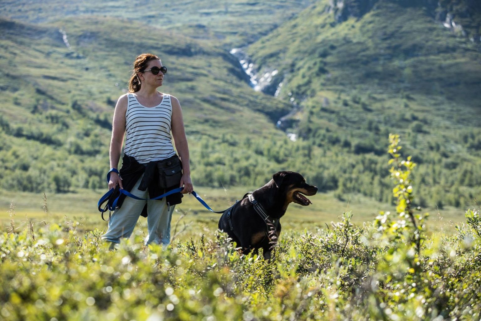 Heidi Rowe – GoodDog